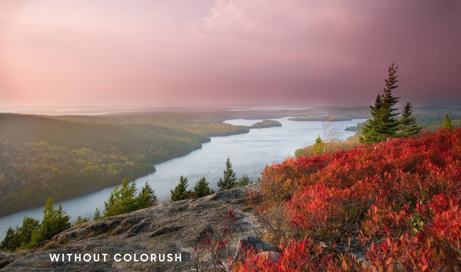 Aviator Elite - Blackout Polarized – Shady Rays® | Polarized Sunglasses