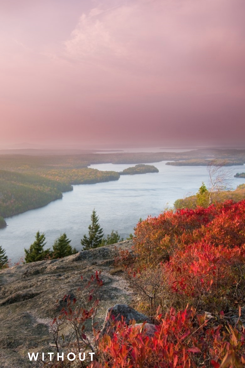 Shady Rays X Series - Blackout Polarized Sunglasses – Shady Rays ...